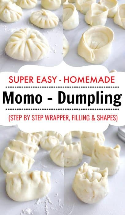 How To Make Momos At Home (Dumpling/ Pierogi/ Gyoza + TIPS)