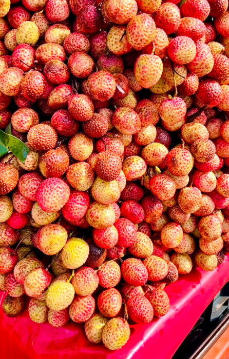 3 Ingredients Vegan Lychee Coconut Ice Cream